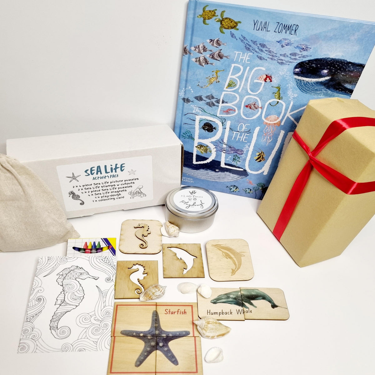 Sealife Activity Kit with Book – Kitstoys activity kits for kids
